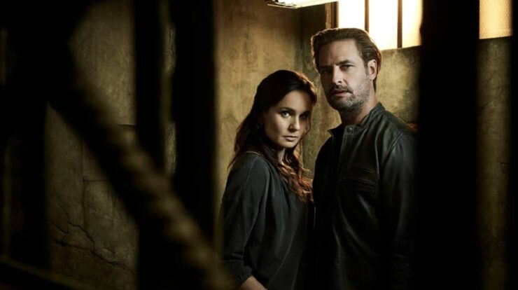 Colony Season 4 Release Date: Renewed or Canceled? - The Urban Politico